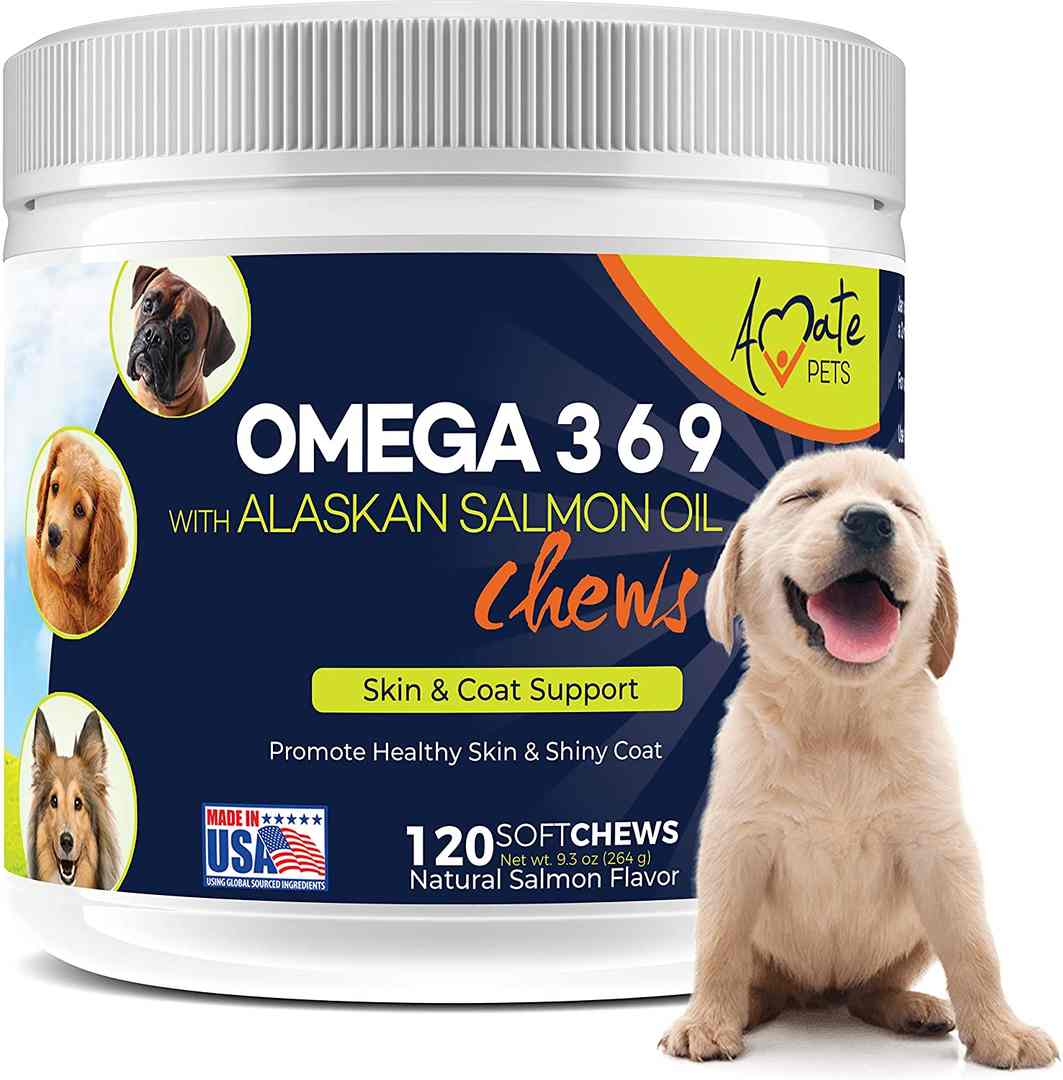 How to choose the Best Omega treats for dogs? TOP Fish Oil for Dogs 2022