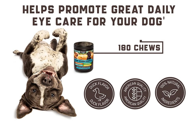 Buy Clear Vision Chews for Dogs | Best Eye Care Supplements for Puppies